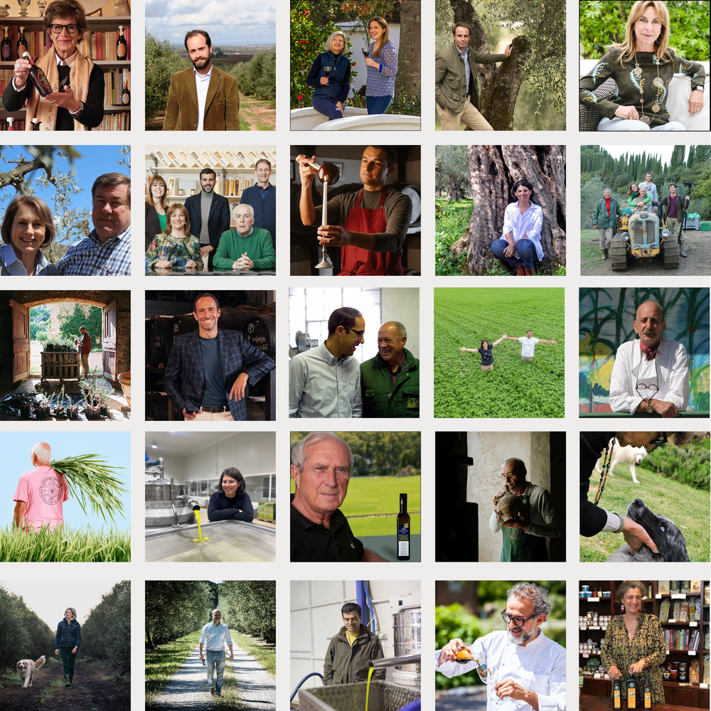 The Oil Merchant – The Oil Merchant Ltd