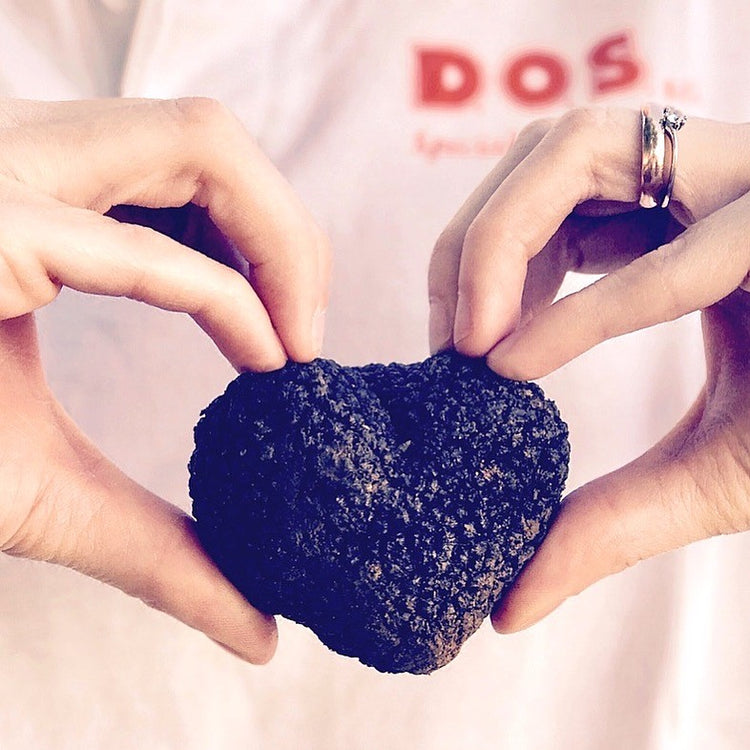 The Oil Merchant – The Oil Merchant Ltd