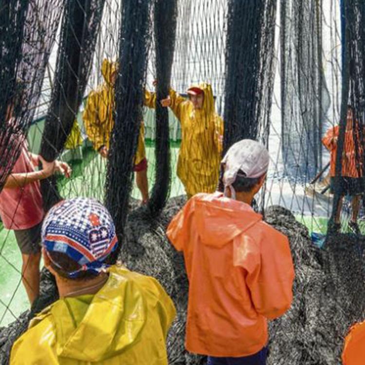 Producers – The Oil Merchant Ltd